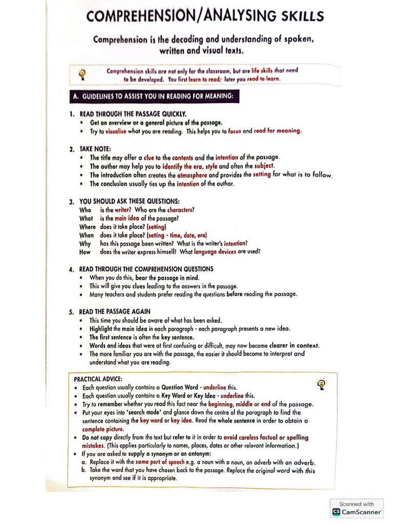 Comprehension and Text Analysis Notes | PDF