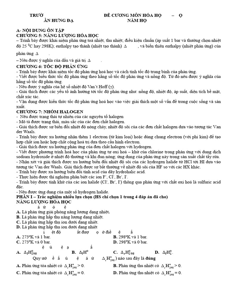 2024-2025-THĐ 10 HK2 HS | PDF