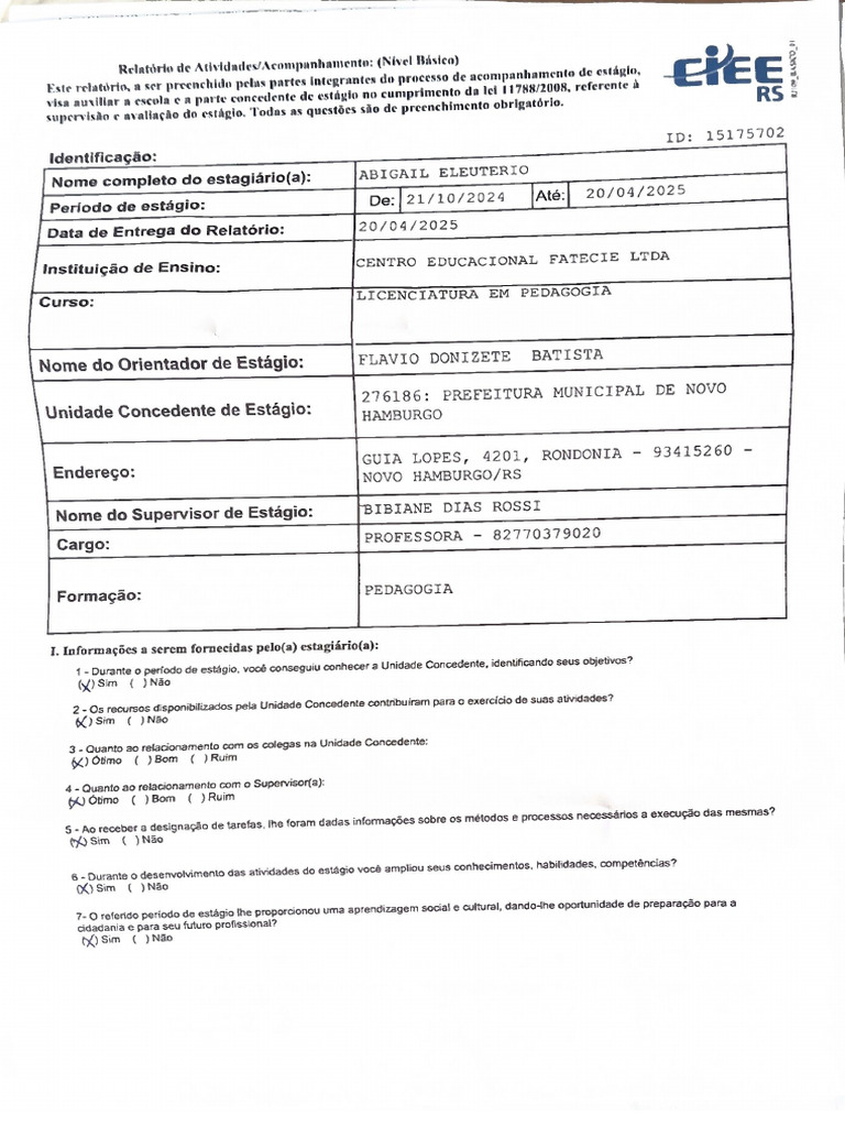 Relatorio Ciee | PDF