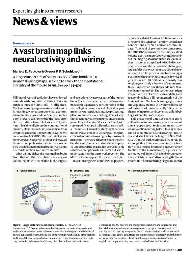 Expansive Neural Linkage Catalog | PDF | Brain | Neuron