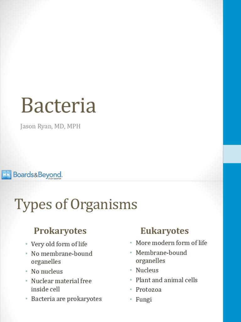 Bacteria 1 | PDF | Lipopolysaccharide | Bacteria