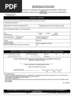 DC1 STPS Formato Word Editable | PDF