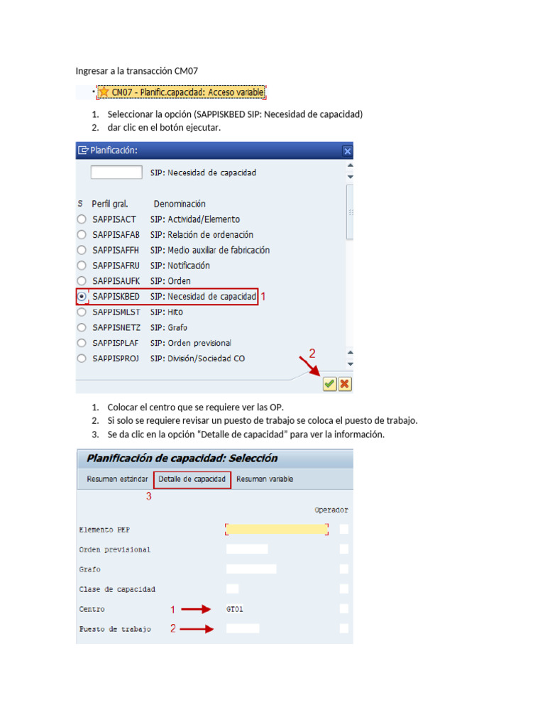 Uso de CM07 para Ver OP en SAP | PDF