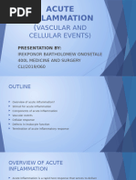 Understanding Acute Inflammation | PDF | Complement System | Inflammation