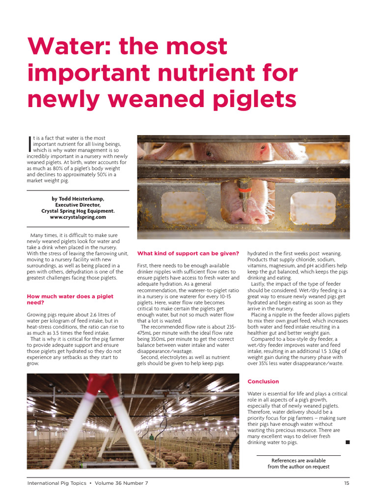 Water The Most Important Nutrient For Newly Weaned Piglets | PDF | Pig ...