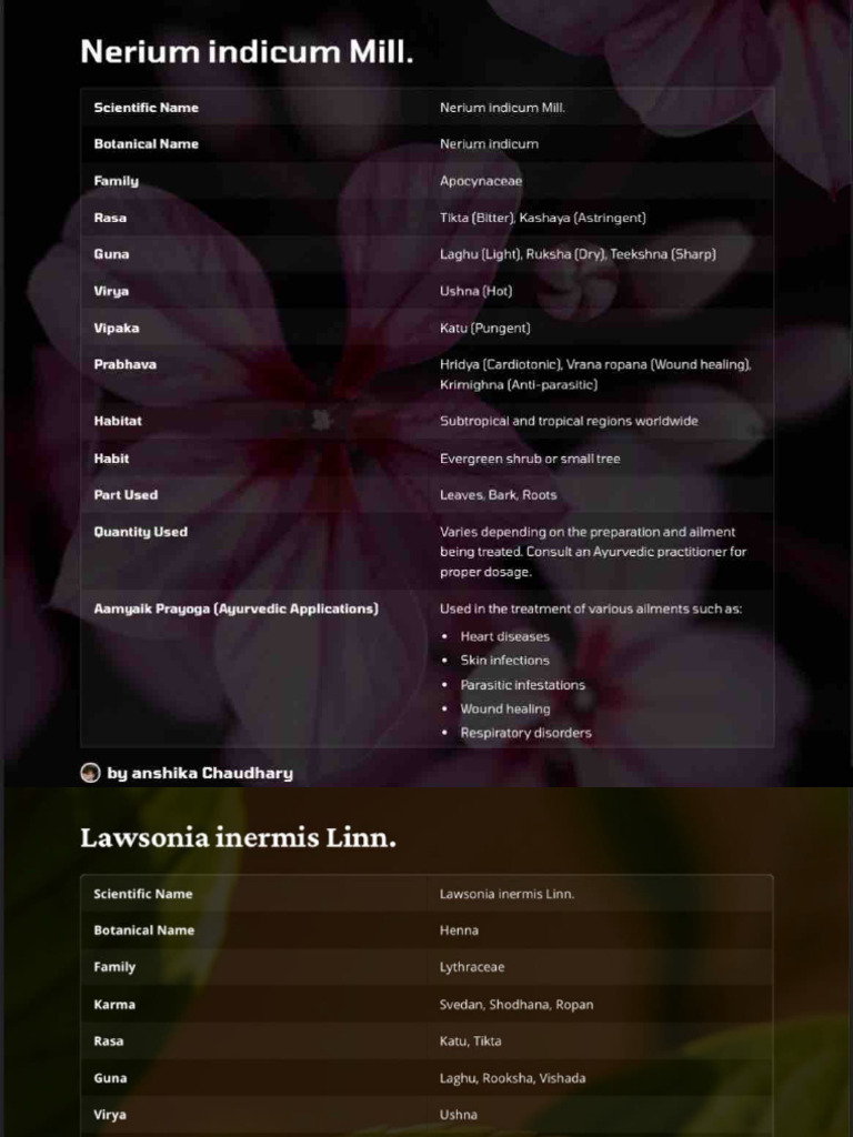 Plant | PDF