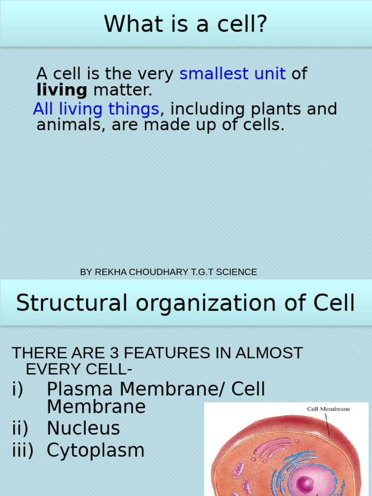 Structural Organization Of Cell | PDF | Endoplasmic Reticulum | Cell ...