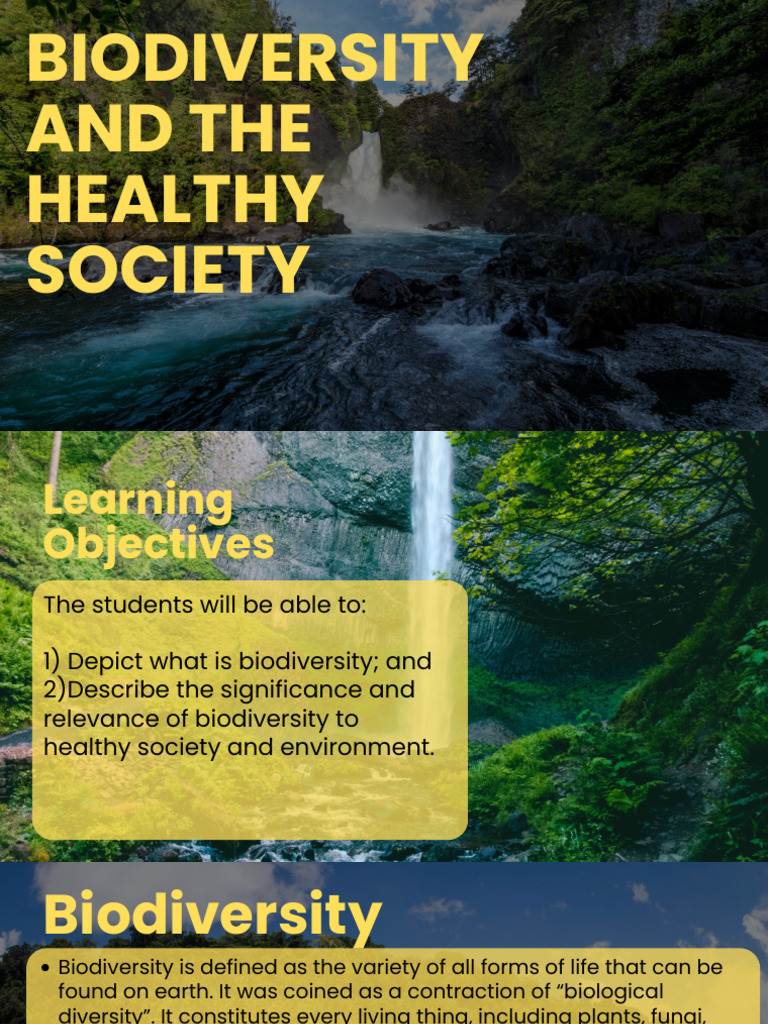 STS LESSON 9 BIODIVERSITY - Compressed | PDF | Biodiversity | Genetic Diversity