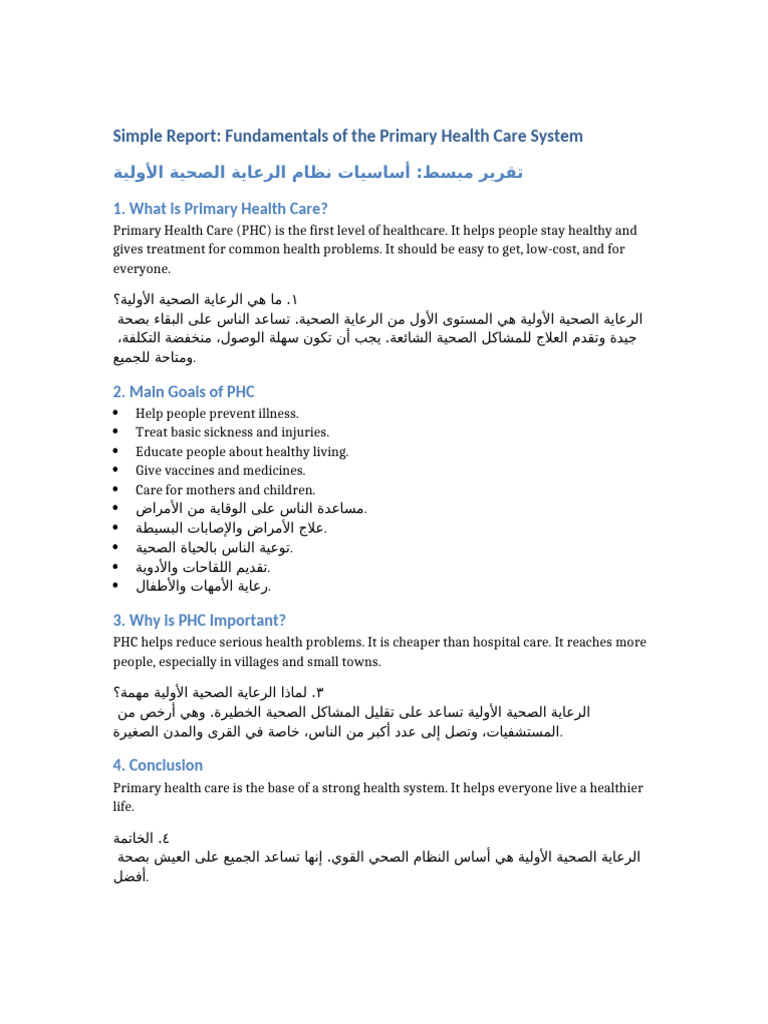 Simple Primary Health Care Report | PDF
