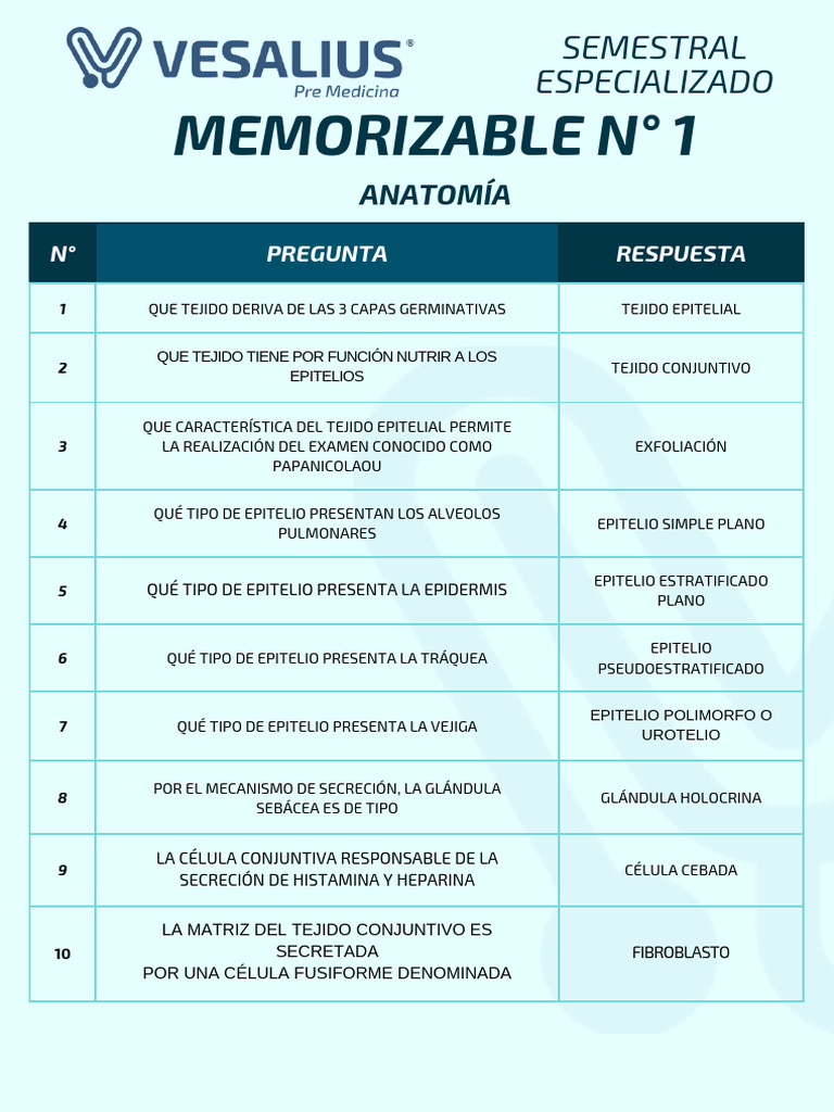 Semestral N 1 Memorizable | PDF | Epitelio | Comunicación