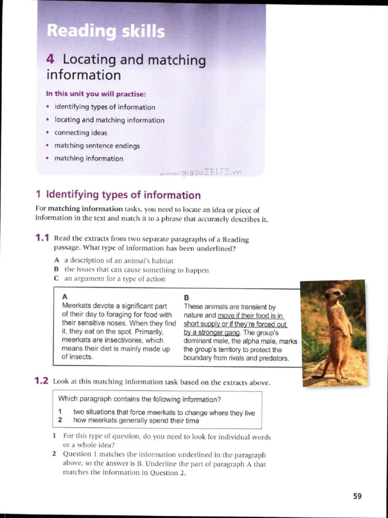 4 Locating and Matching Information | PDF