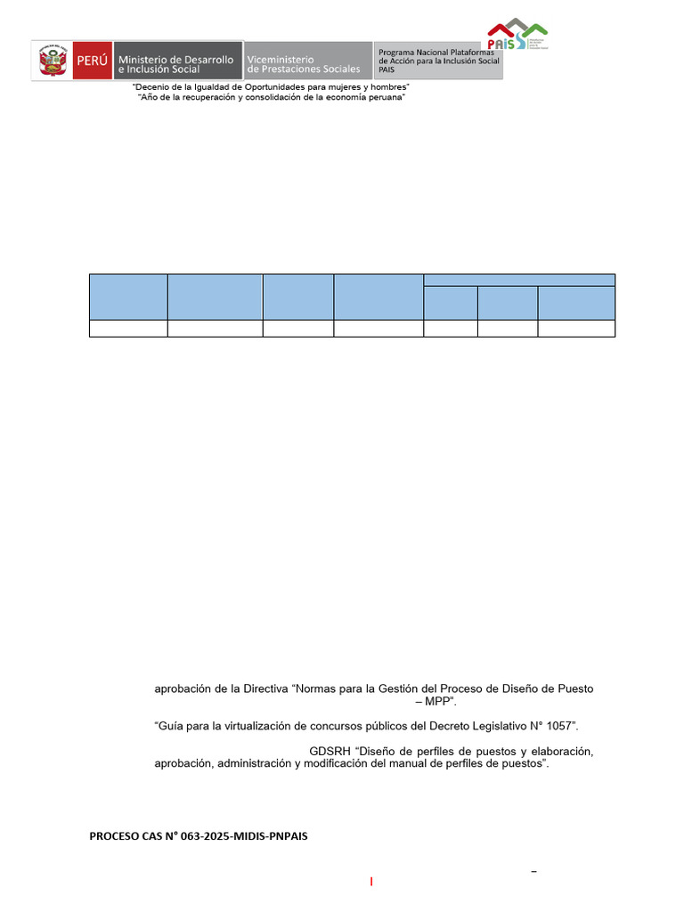 Bases Cas 063-2025 (F) | PDF | Titulo academico