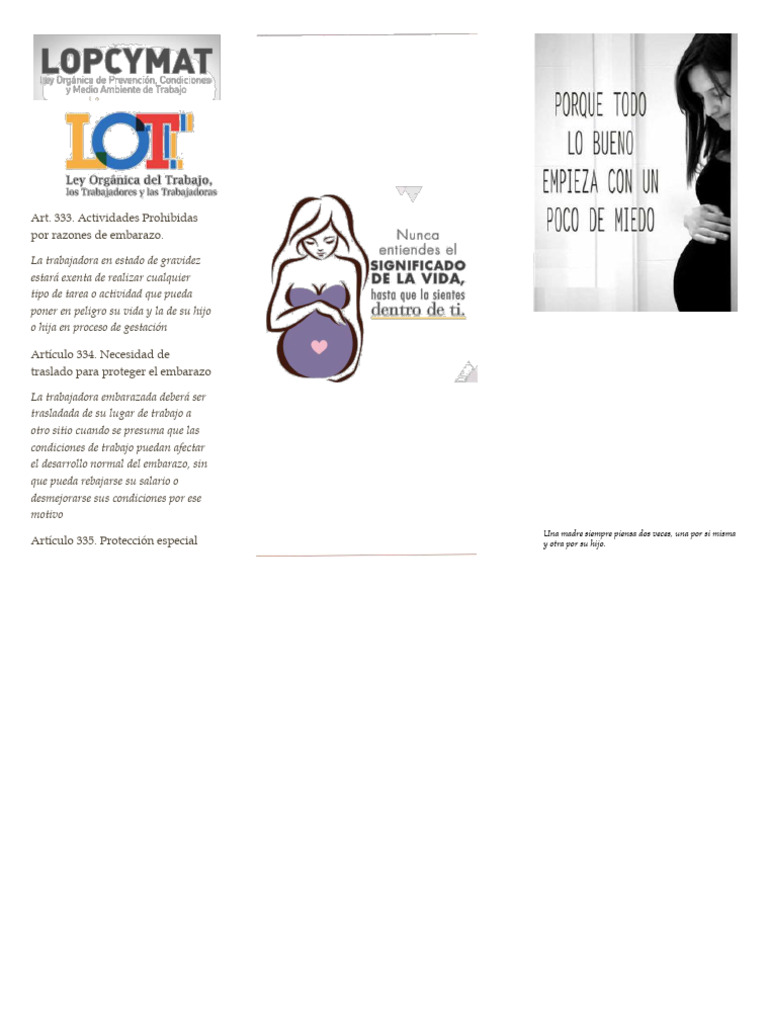 Anexo 2-A. Modelo Triptico - Embarazo | PDF