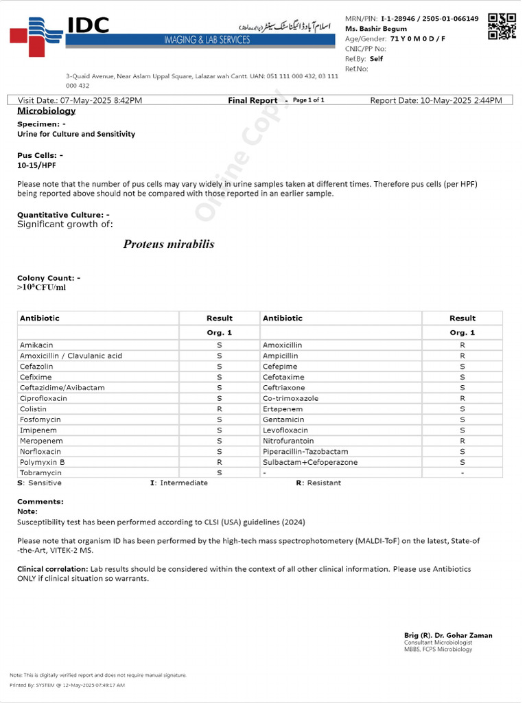 Patient Report PDF | PDF