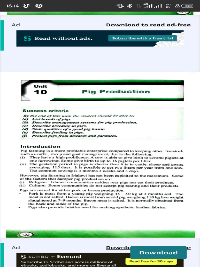 Pig Production | PDF