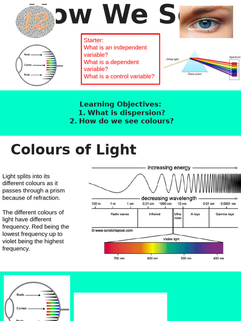 Lesson 9 - How We See | PDF