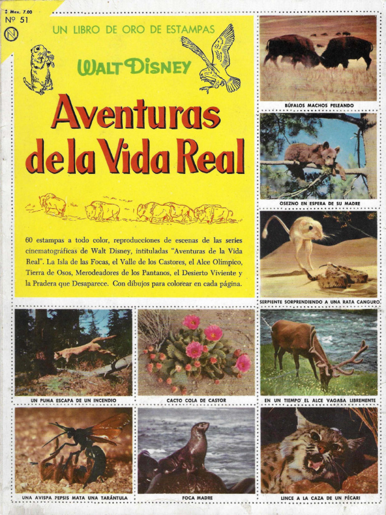 Un Libro de Oro de Estampas, Aventuras de La Vida Real 1962 (Novaro ...