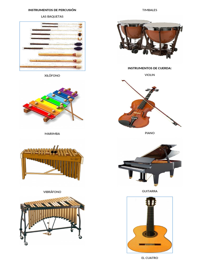 clases de Instrumentos-Musicales | PDF
