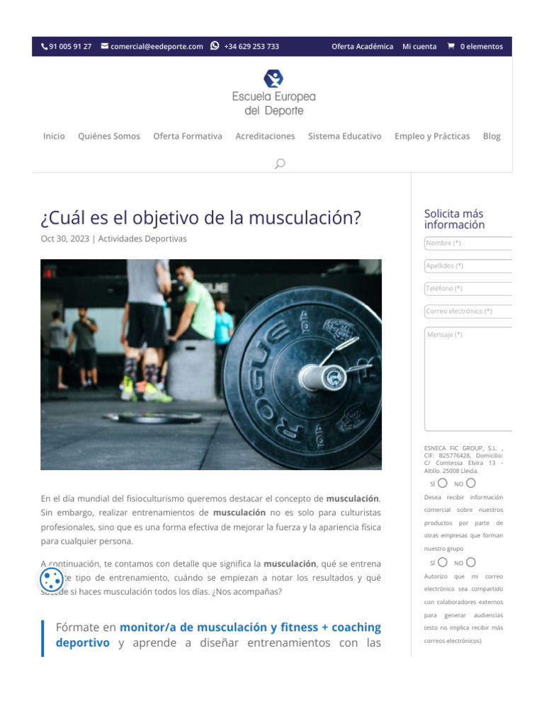 ¿Qué es la musculación y sus beneficios? | PDF | Músculo ...
