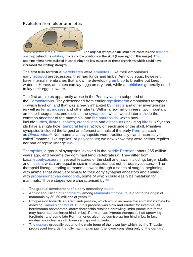 Evolution From Older Amniotes | PDF | Mammals | Reptile