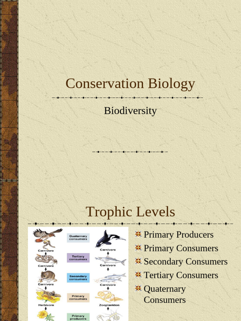 Conservation Biology Pdf Biodiversity Extinction