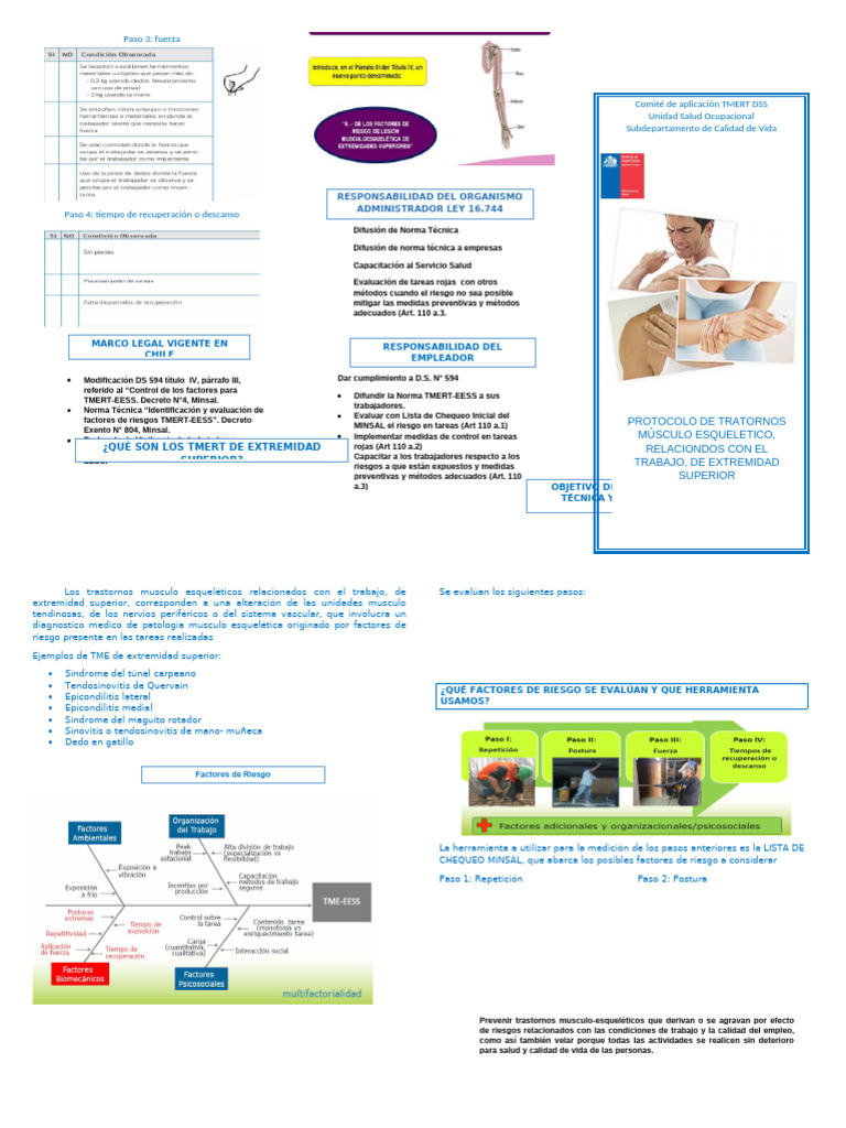Triptico TMERT EESS | PDF | Seguridad y salud ocupacional | Enfermedades y trastornos