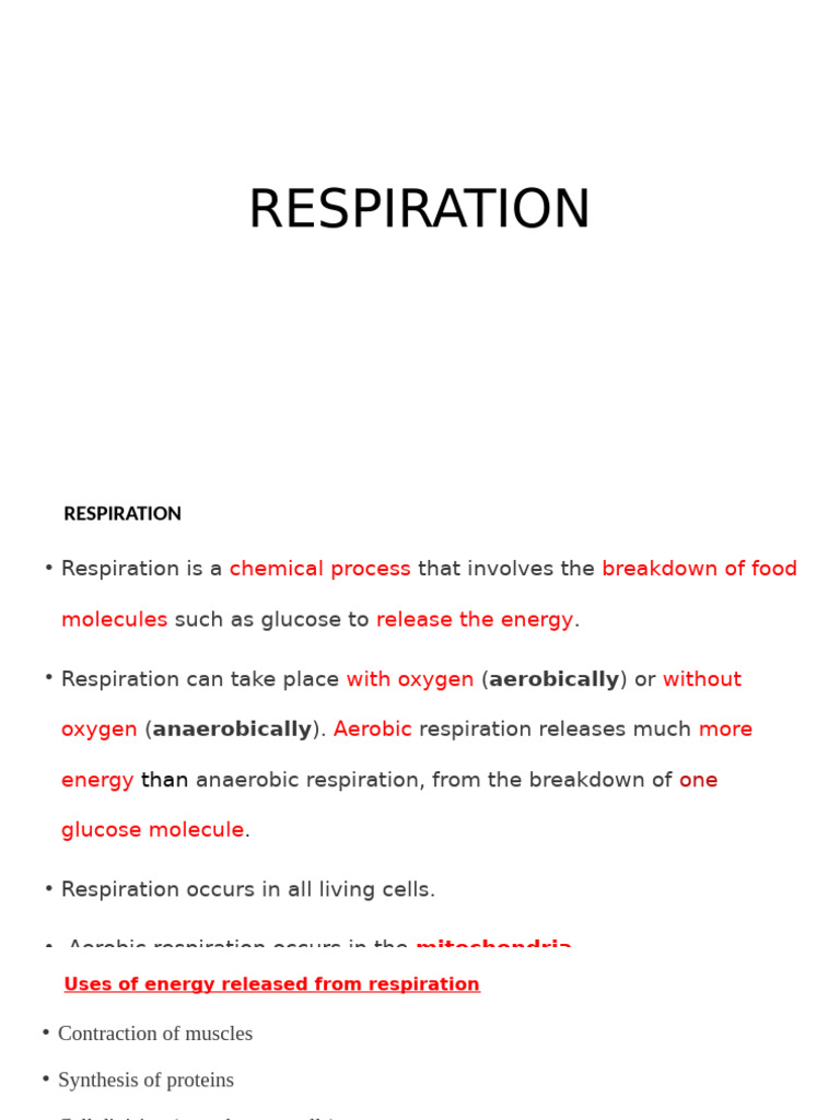 Understanding Aerobic and Anaerobic Respiration | PDF | Cellular ...