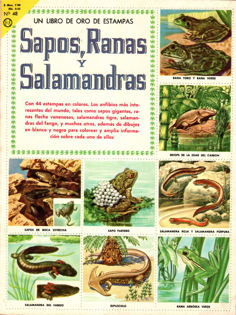 Un Libro de Oro de Estampas, Sapos, Ranas y Salamandras 1962 (Novaro ...