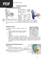Otoscopia Normal | PDF | Oído | Anatomía