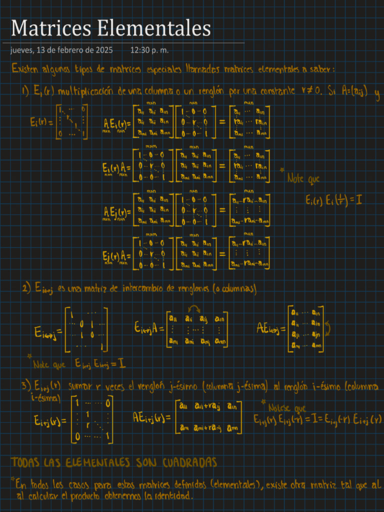 Matrices Elementales | PDF