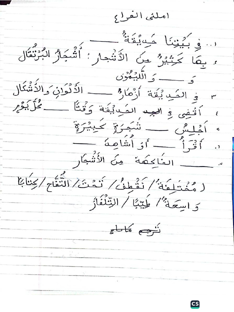 Arabic Igcse | PDF
