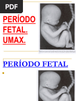 Evolución de la Decidua Capsular | PDF | Placenta | Feto