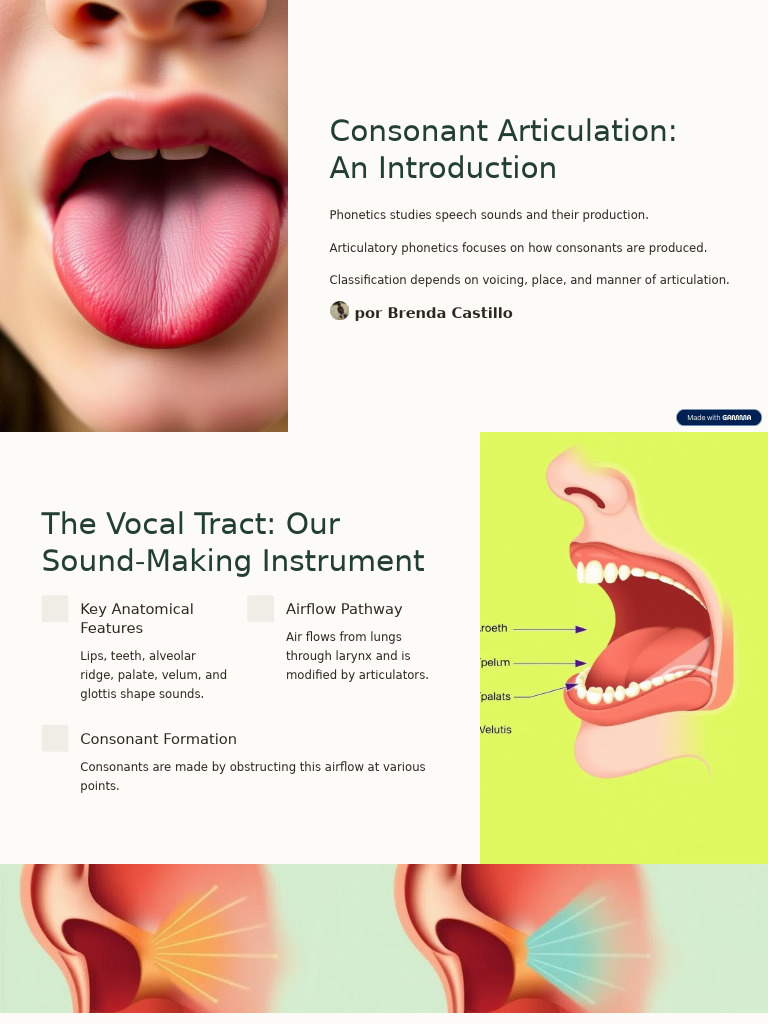 Consonant Articulation Explained | PDF | Phonetics | Human Voice