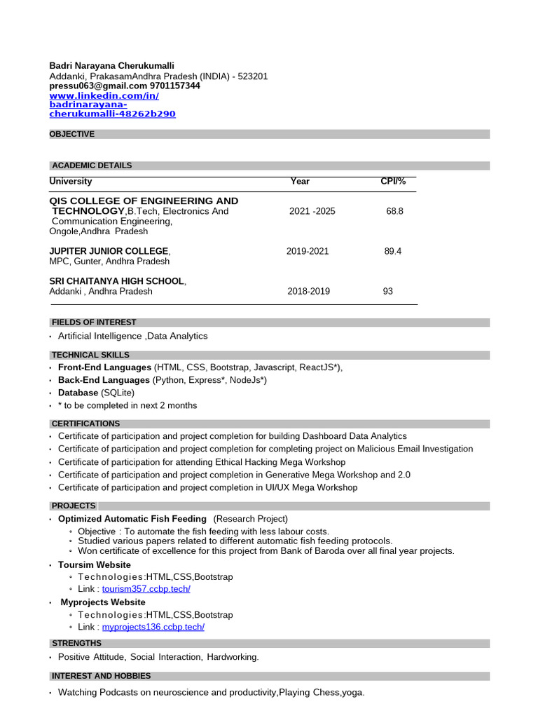 Indian Institute of Technology Bombay Resume | PDF