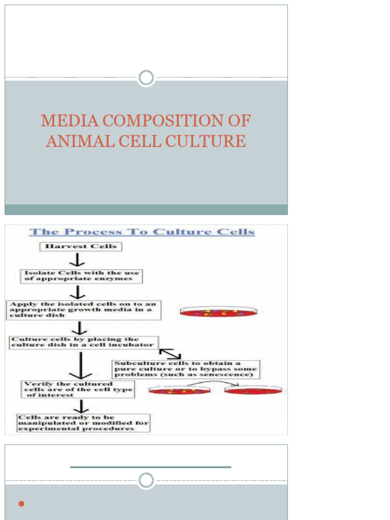 Media Composition of Animal Cell Culture | PDF | Cell Culture | Growth ...
