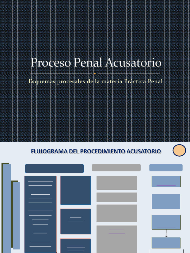 Esquemas Proc Penal Acus | PDF | Queja | Ley común