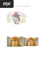 Classificação CEAP em Insuficiência Venosa | PDF | Varizes | Veia