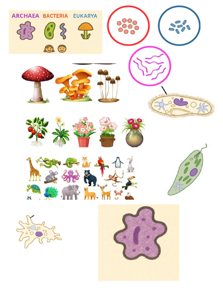 ARCHAEA_20250513_163805_0000 | PDF