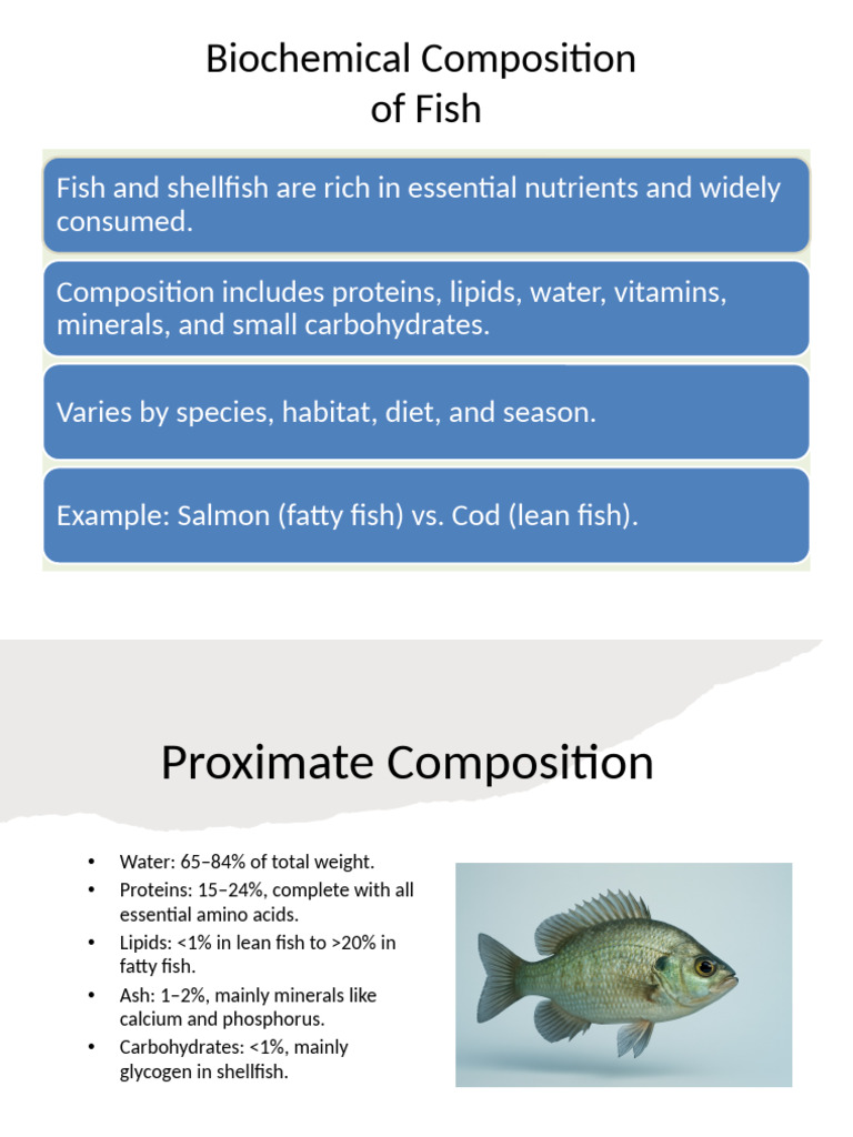 Nutritional Benefits of Fish and Shellfish | PDF | Nutrients ...