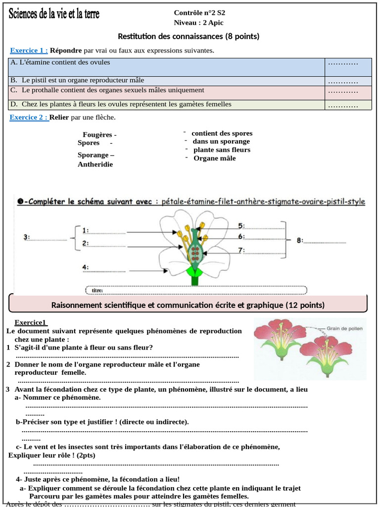 controle vegetaux_240603_023147 | PDF | Système reproducteur | Fécondation