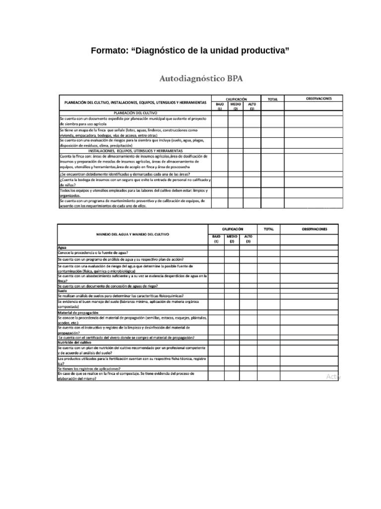 Formato diagnostico unidad productiva | PDF