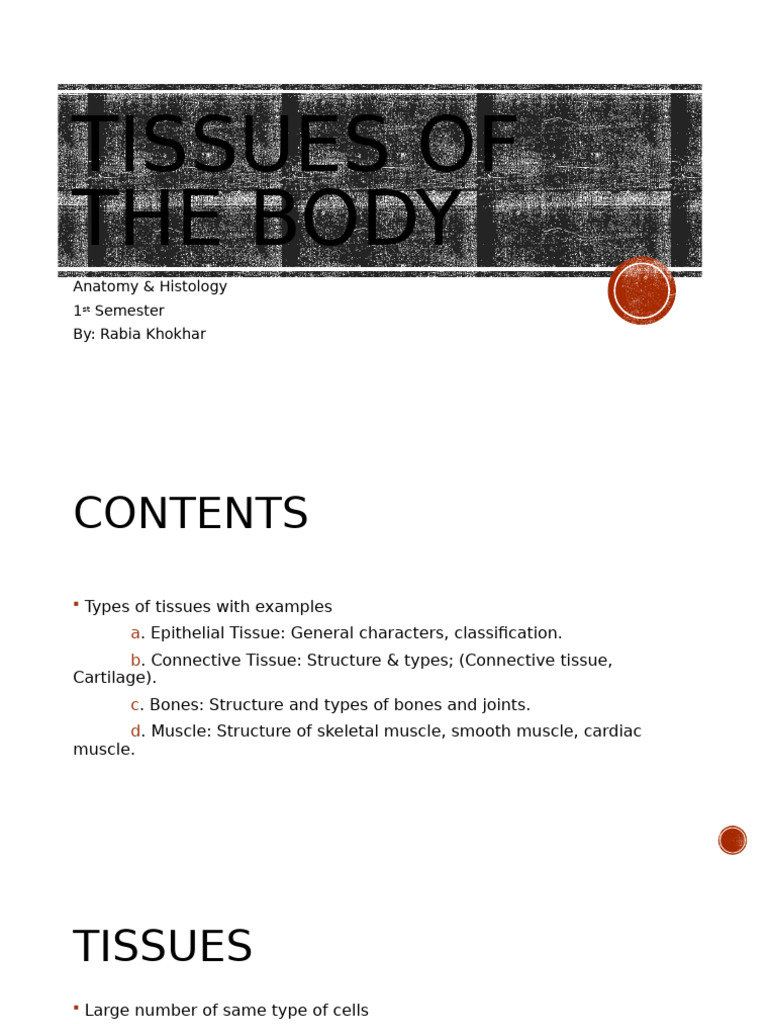 Tissues of the body | PDF | Epithelium | Bone