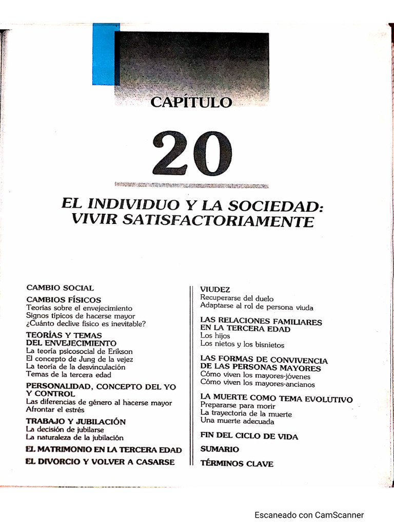 Hoffman Psicología Del Desarrollo. Cap. 20 | PDF