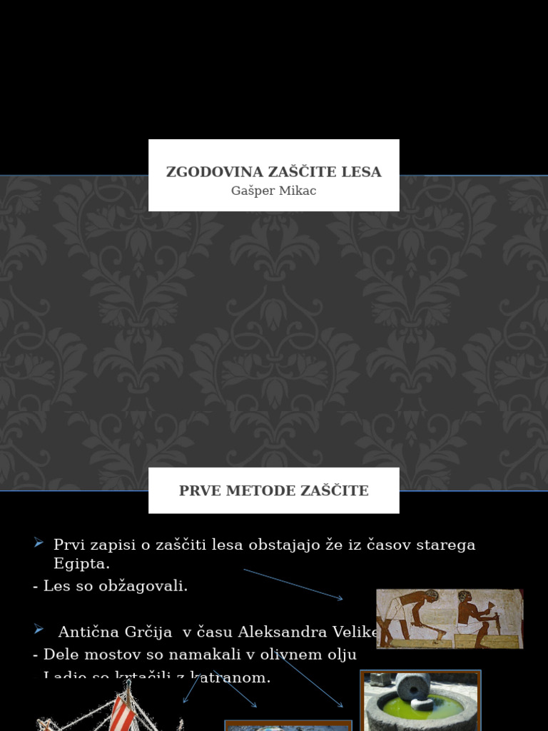 Zgodovina Zaščite Lesa | PDF