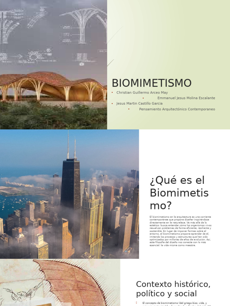 BIOMIMETISMO | PDF | Entorno natural | Naturaleza