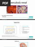 Grados de Varicocele: Clasificación y Evaluación | PDF | Sistema ...