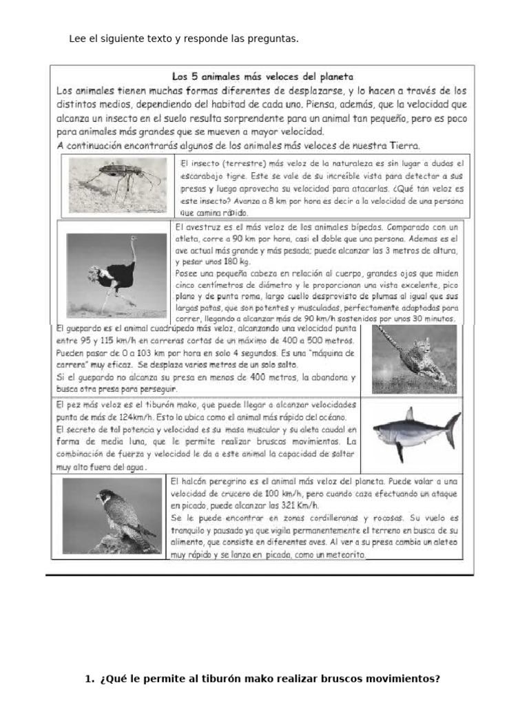 Los 5 Animales Mas Veloces | PDF