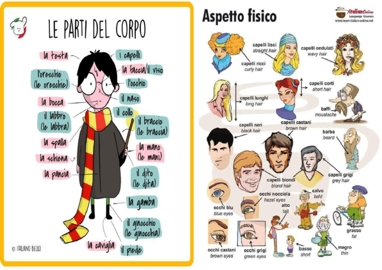 Aspetto Fisico | PDF