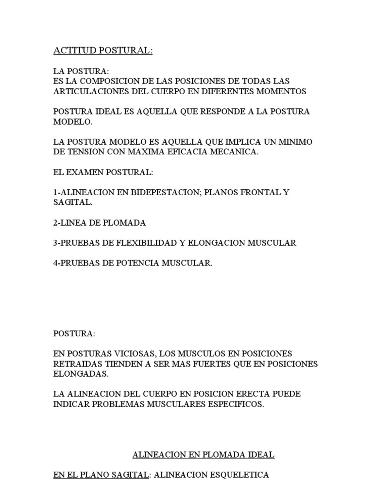 Actitud Postural y Plomada Ideal | PDF