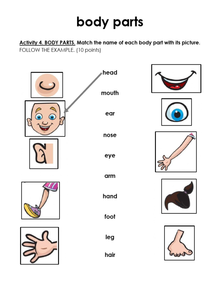 BODY PARTS-vocabulary | PDF